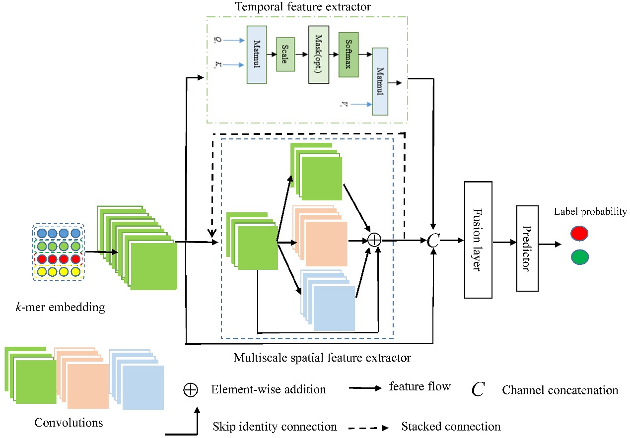 软件学院教师在国际顶级学术期刊《IEEE TNNLS》上发表科研成果